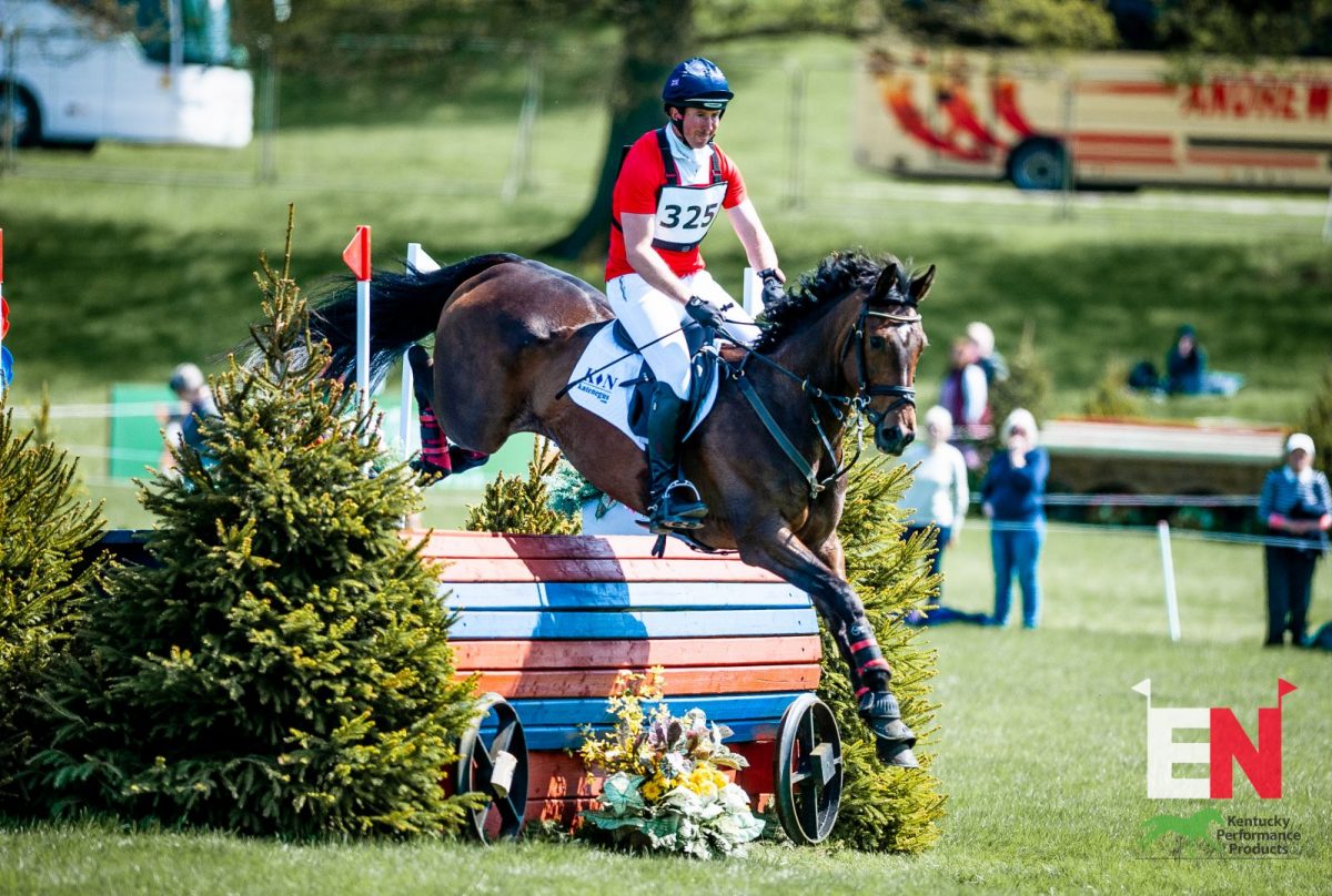 Your Form Guide to Longines Luhmühlen: Meet the Horses and Riders of ...