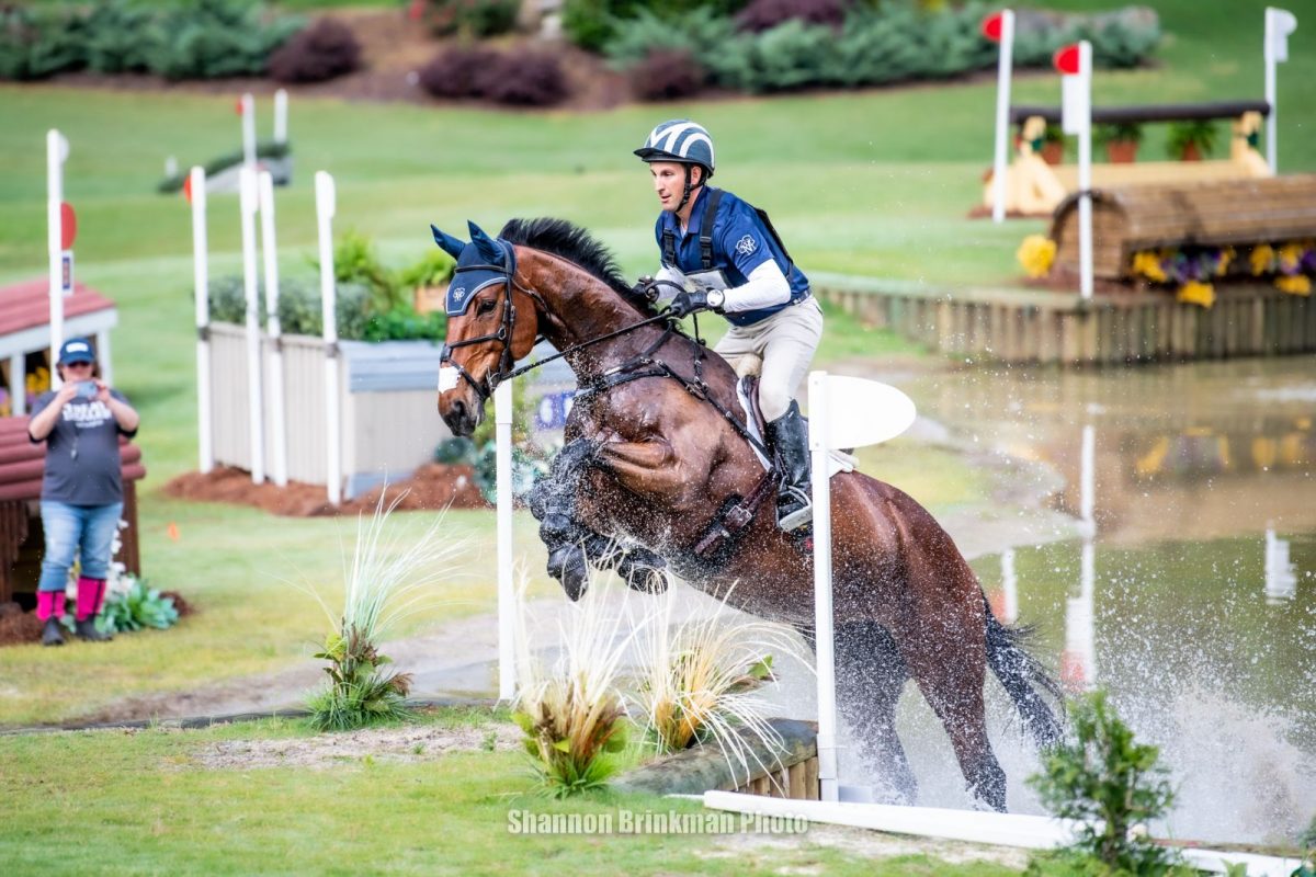 Andrew McConnon Under Investigation for Horse Abuse Allegations: The ...