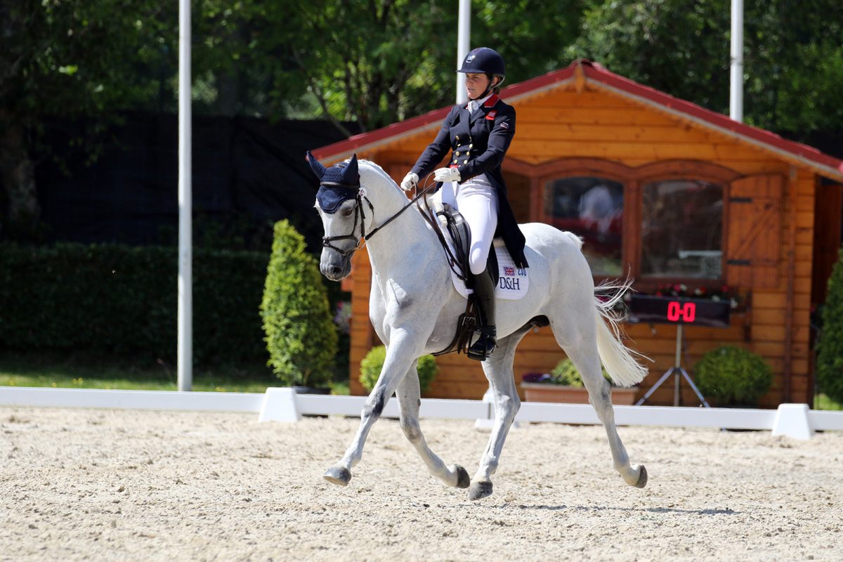 Piggy March’s Halo is Shining at Millstreet | Eventing Nation - Three ...