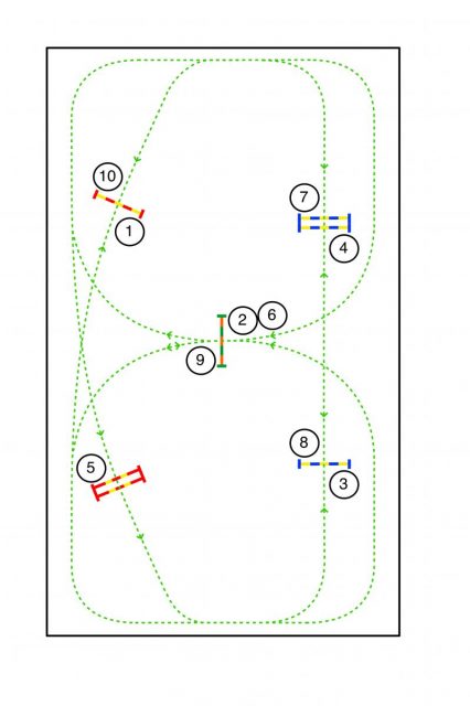 Two Easy-to-Use Exercises to Improve Canter Rhythm: An Excerpt from ...