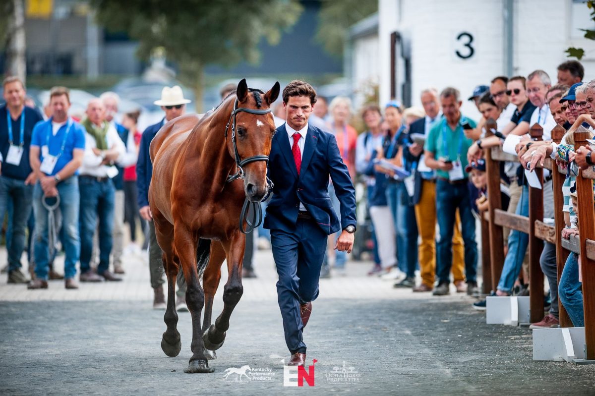 A Battle of the Nations: One Pair Held at CHIO Aachen First Horse ...