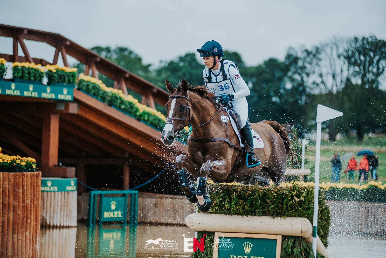 Who Jumped It Best? The Rolex Water at CHIO Aachen | Eventing Nation ...