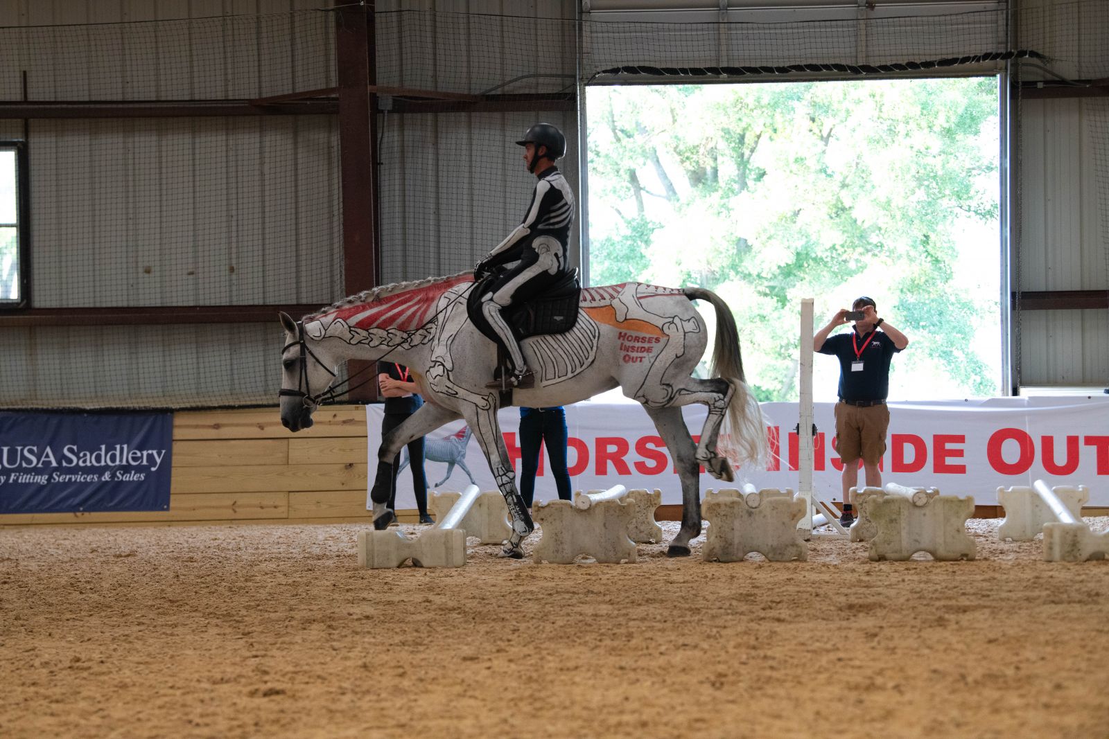 How a Little Paint Brought Equine Anatomy to Life at Morven Park ...