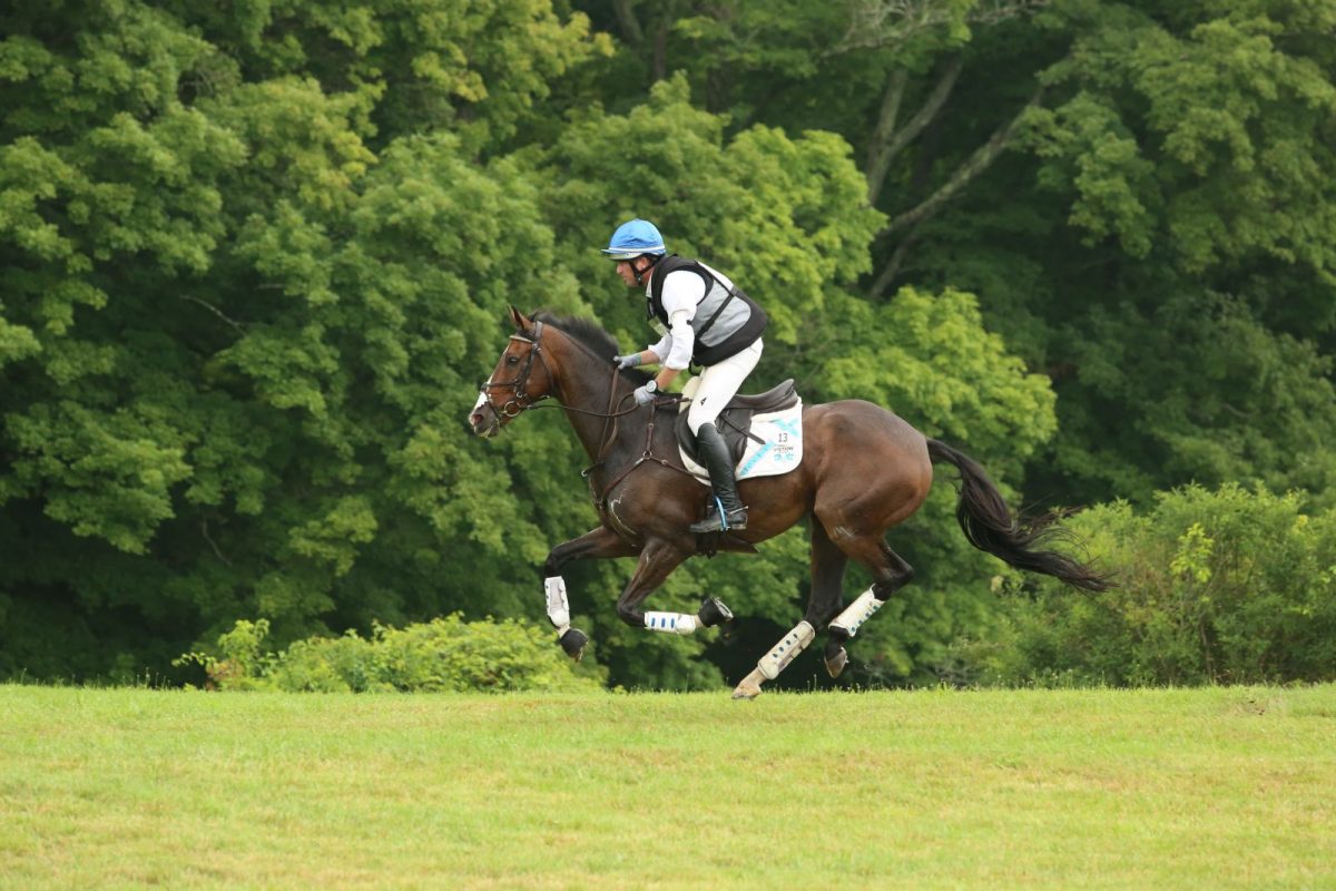 Sharon White and Claus 63 Take Advanced Lead at Millbrook Horse Trials ...