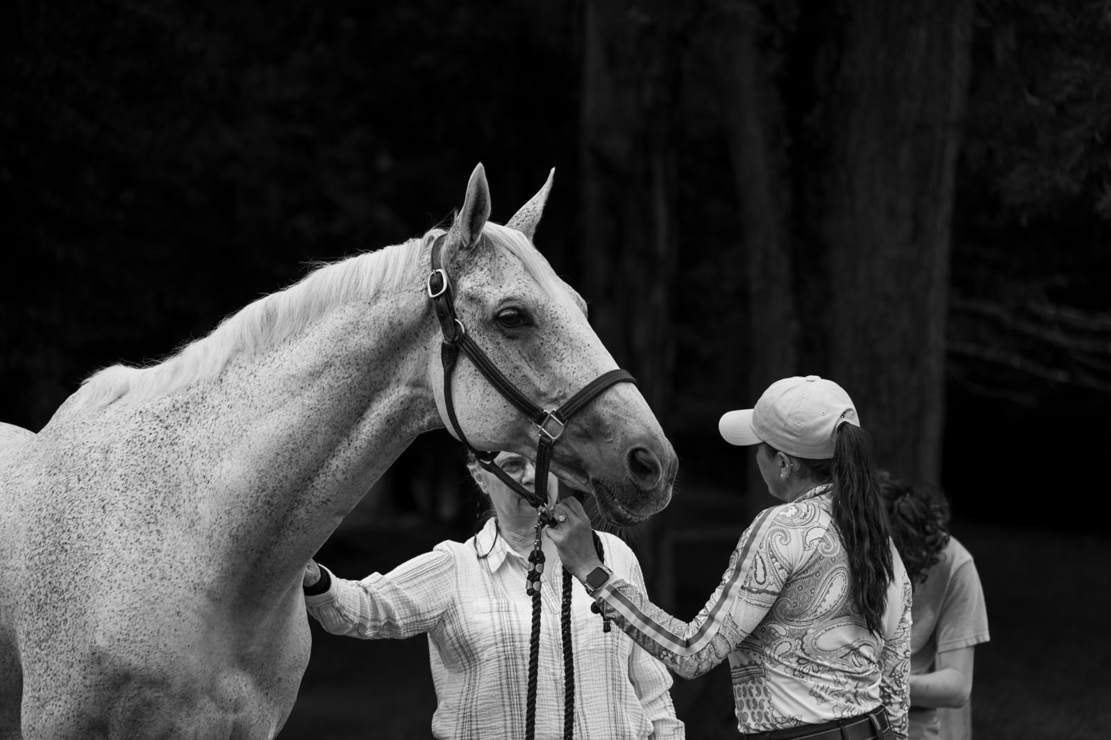 Skyeler Voss Chosen as Rider for Kim Walnes Documentary | Eventing ...