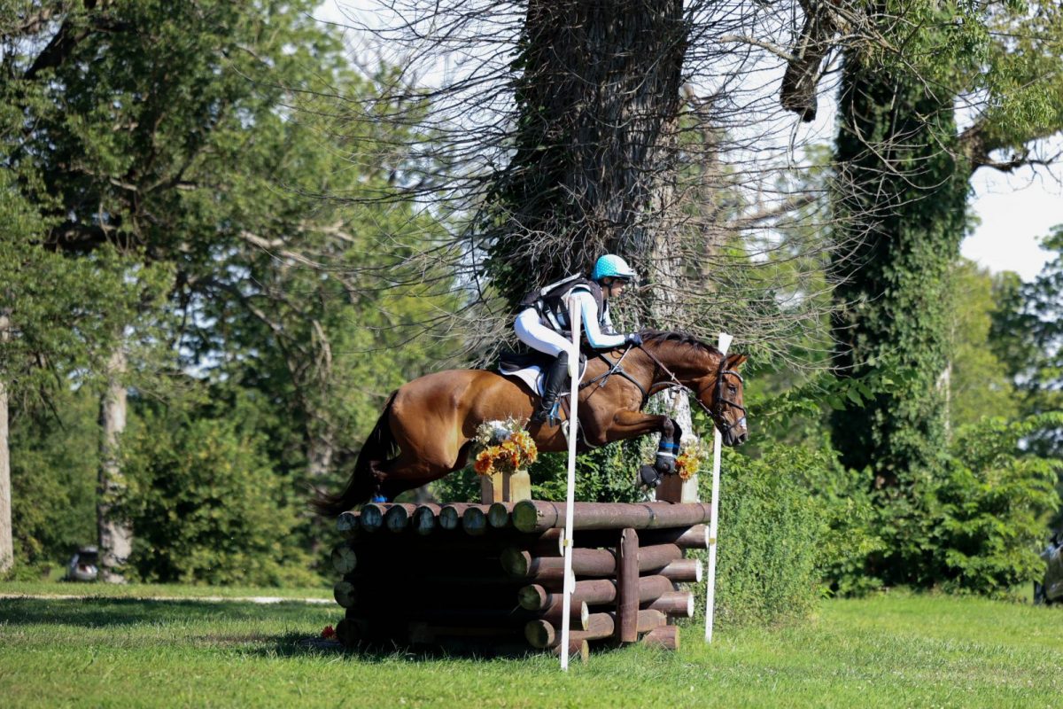 Who Jumped It Best? USEA AEC Intermediate Championship Edition ...