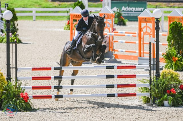 Classic Eventing Nation | Eventing Nation - Three-Day Eventing News ...