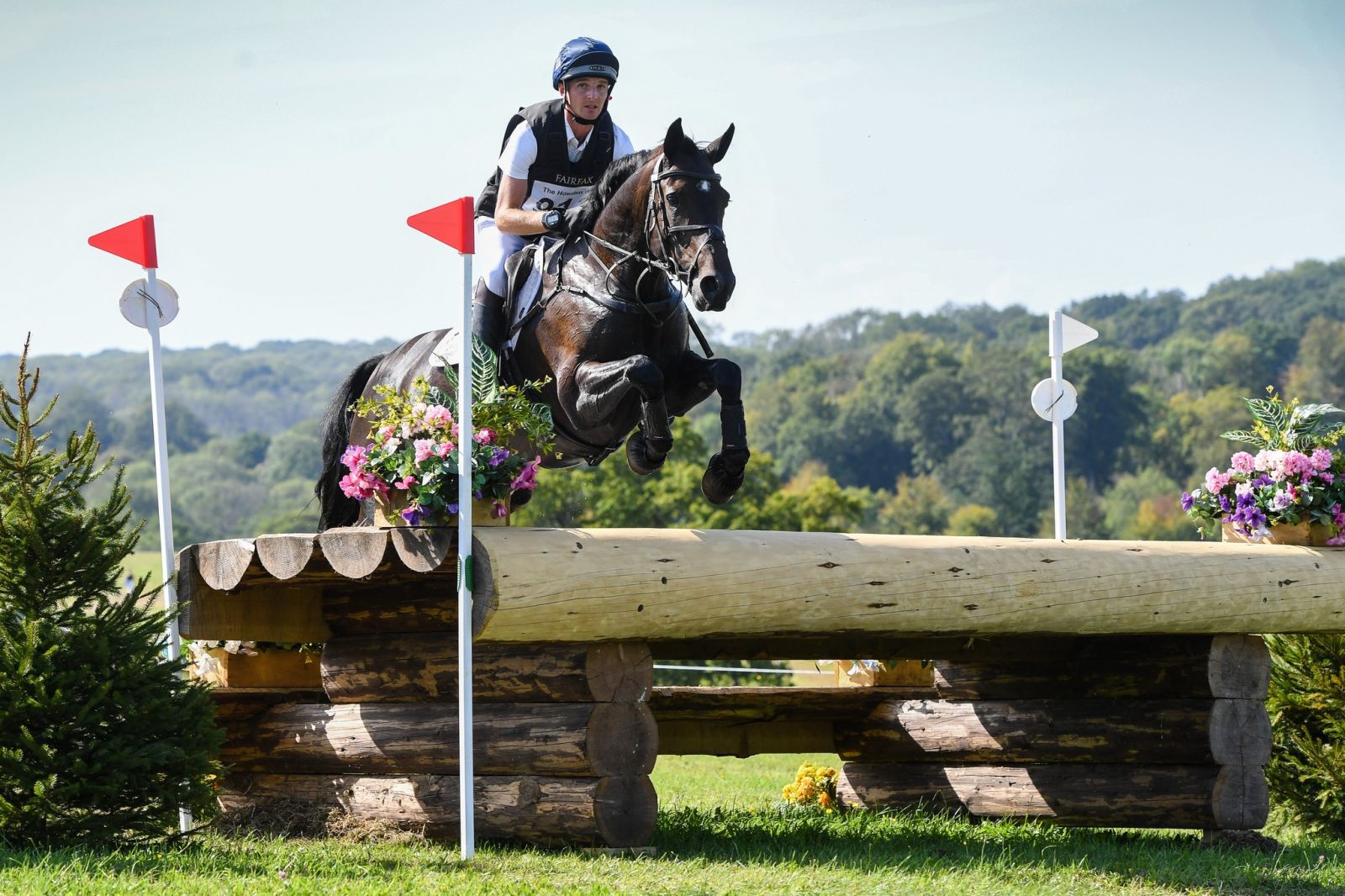 ‘Little Miss Perfect’ Scores at Cornbury | Eventing Nation - Three-Day ...