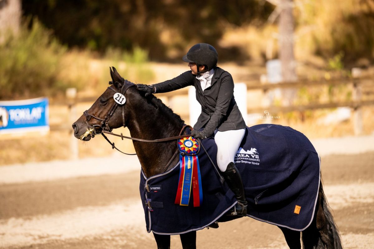 Winners Crowned at USEA Area VII Championships and Aspen Farms Horse ...