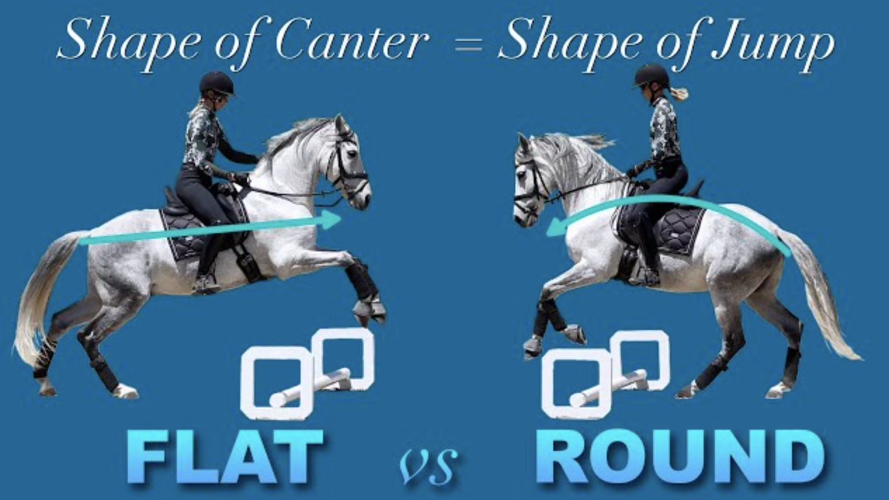 Training Tip Tuesday Video Break: Improving Jump Shape through Quality ...