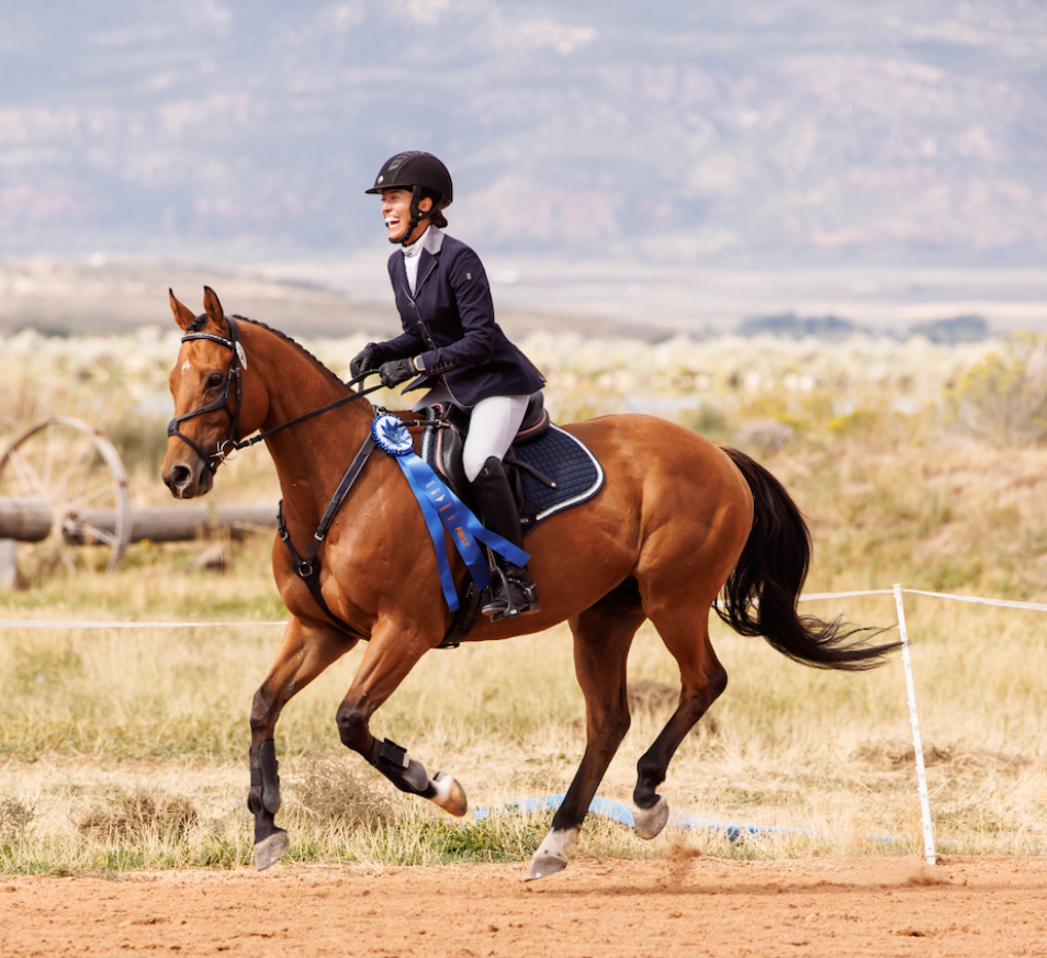 Sunday Links from Etalon Equine Genetics | Eventing Nation - Three-Day ...