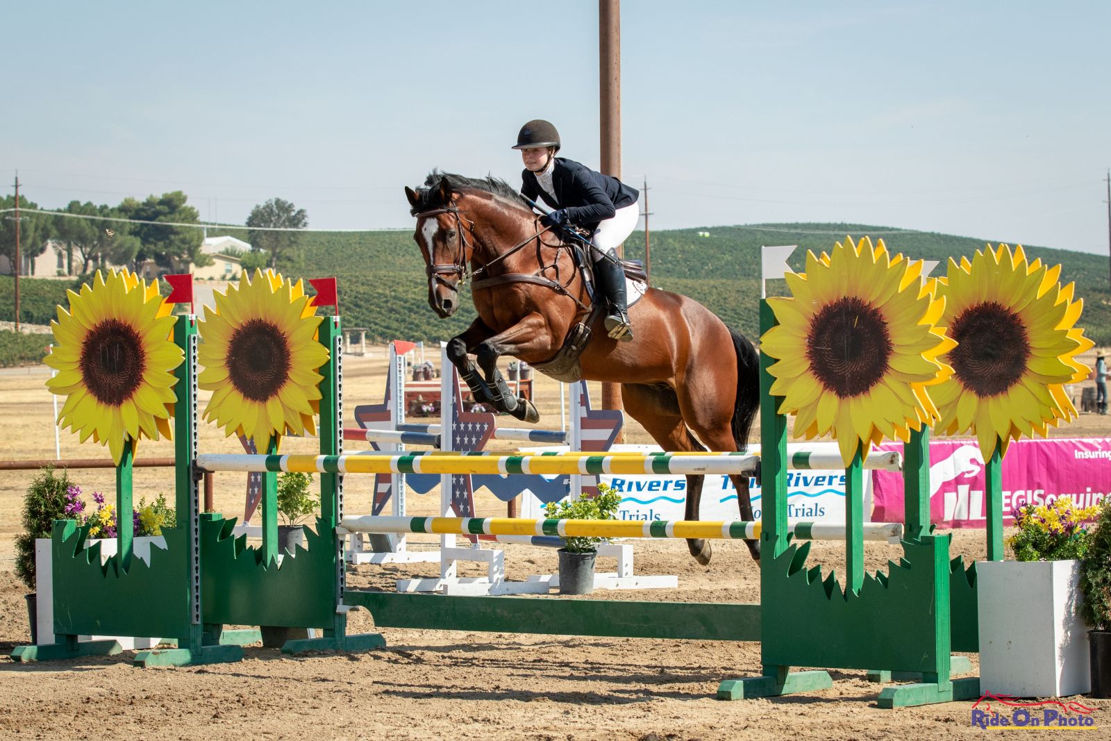 Twin Rivers Sets Stage for Nations Cup & Young Horse Championships ...