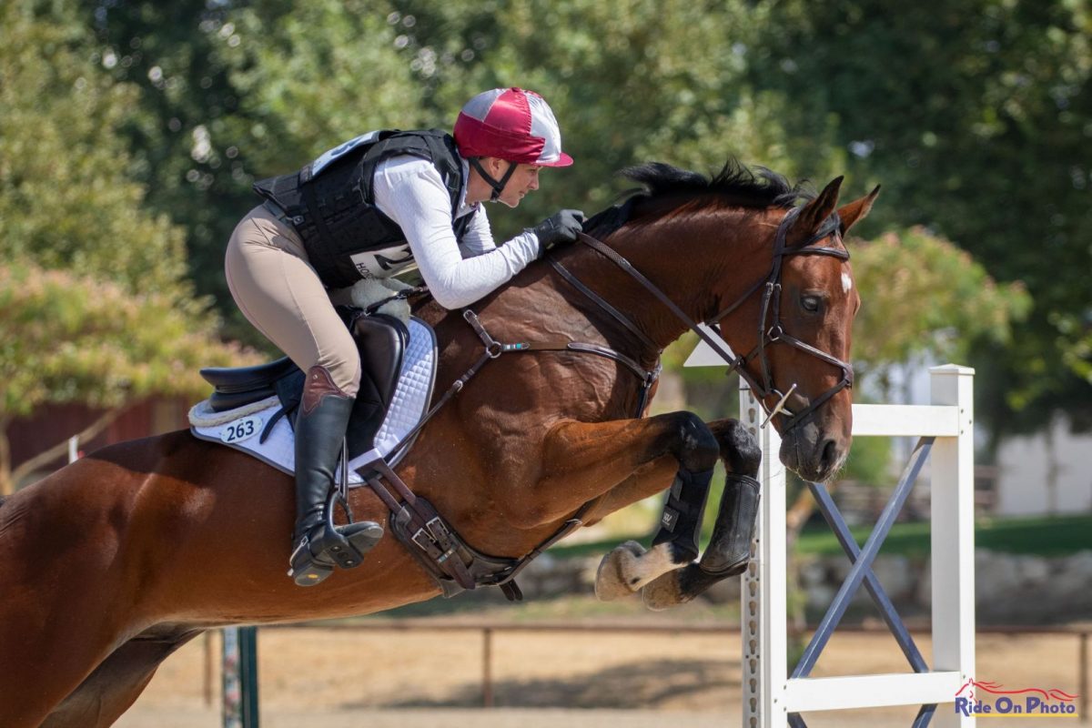 Twin Rivers Sets Stage for Nations Cup & Young Horse Championships ...
