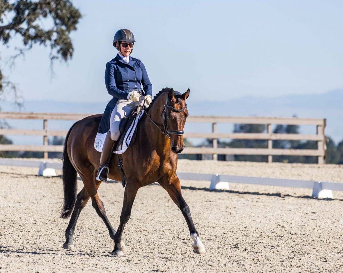 Rising Stars Crowned in Return of FEI Competition at Woodside ...