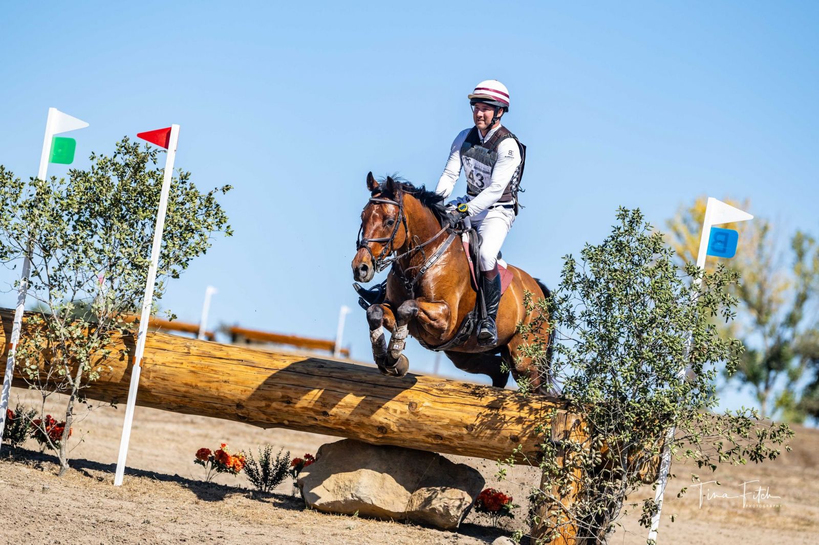 Rising Stars Crowned in Return of FEI Competition at Woodside ...
