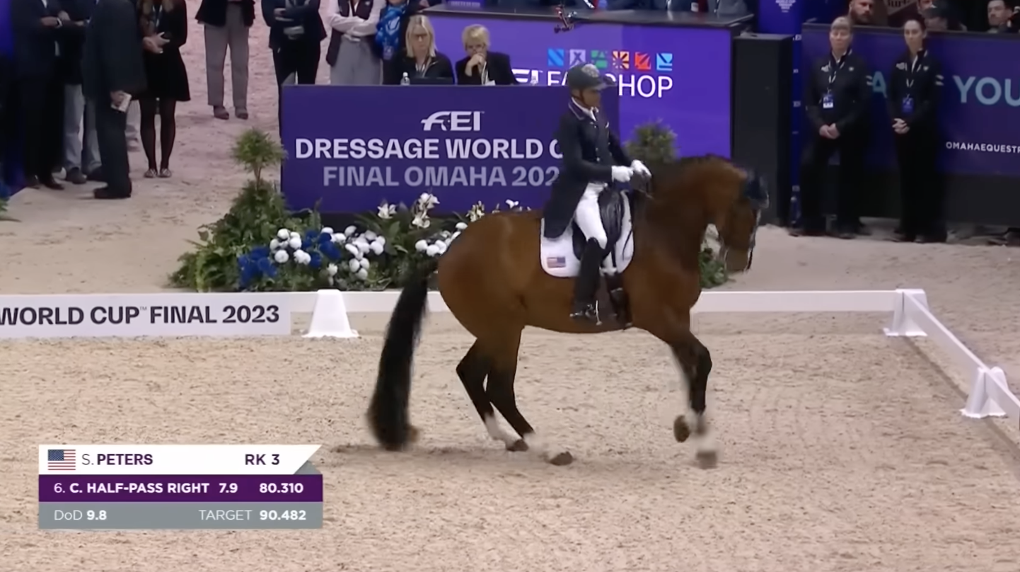 Tuesday Video Break: Revisiting the Rave Horse | Eventing Nation ...