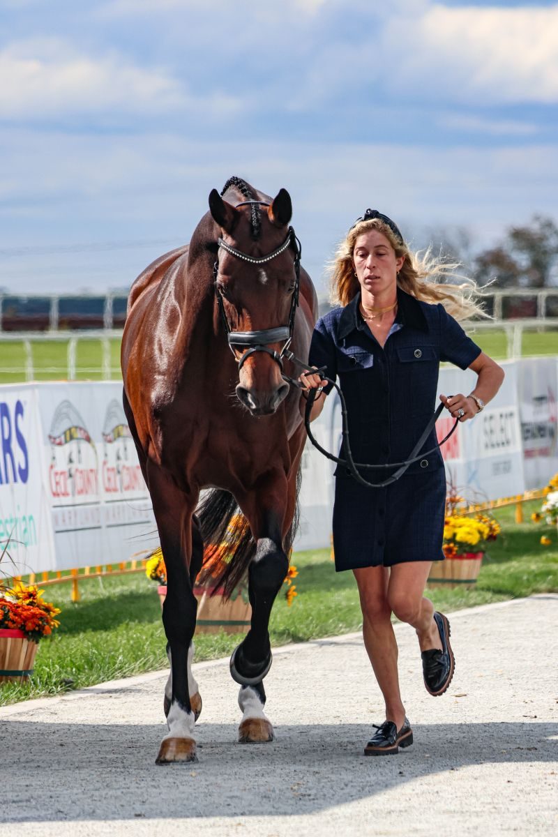 CorneliaDorrFletcher_DaytonaBeach8_Jog | Eventing Nation - Three-Day ...