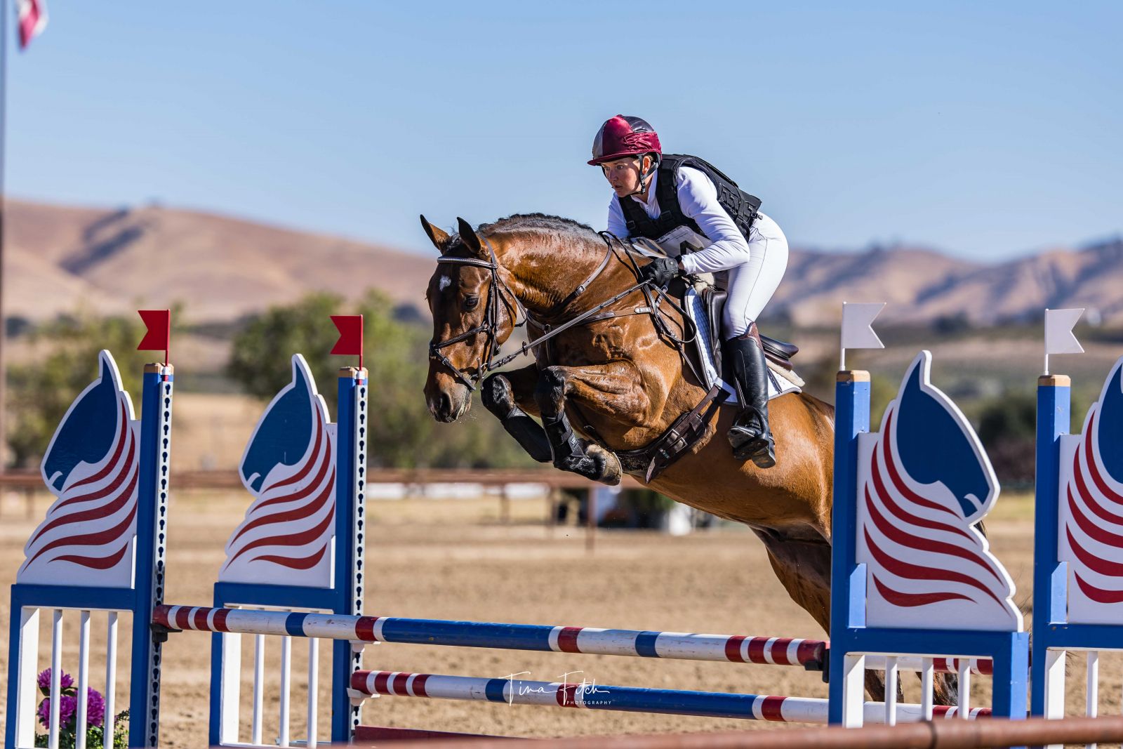 Camelot PJ and Oxford K Deliver Fairytale Finishes at Young Event Horse West Coast Championships ...