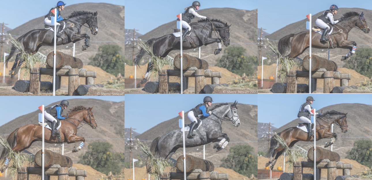 Who Jumped It Best? Young Rider Championship CCI1* from Galway Downs ...