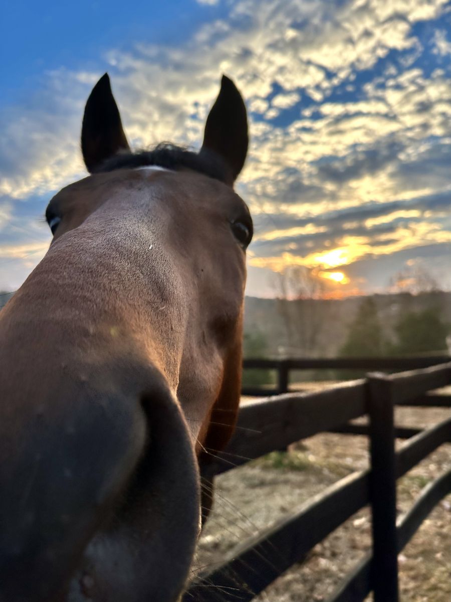 Friday News & Notes Presented by Stable View | Eventing Nation - Three ...