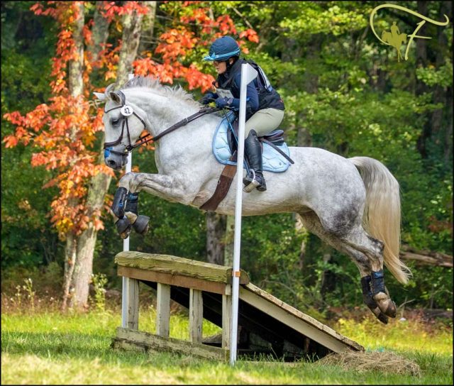 Two Riders Awarded C Square Farm – Excel Star Sporthorses Amateur ...