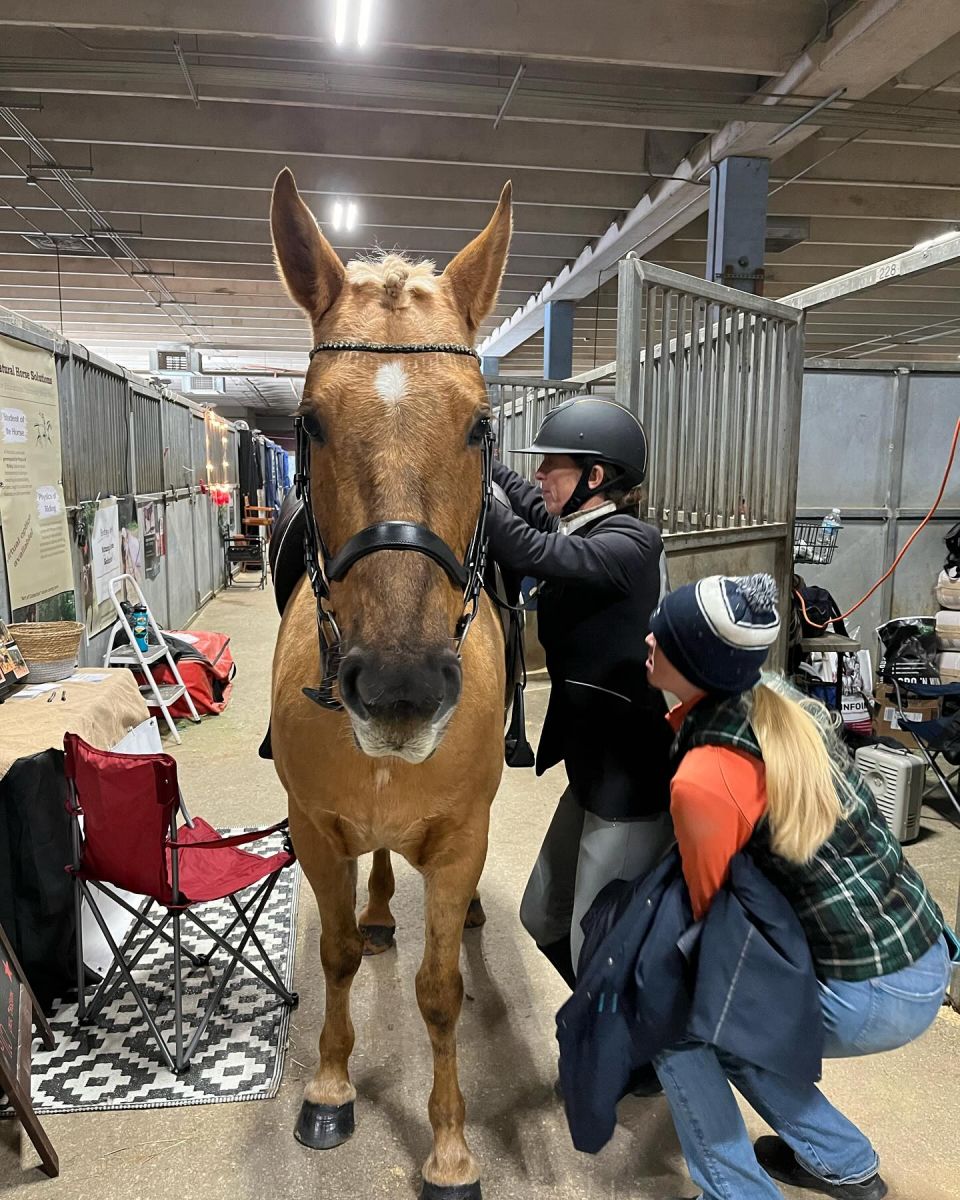 Magical Mustangs: Catching Up with Elisa Wallace | Eventing Nation ...