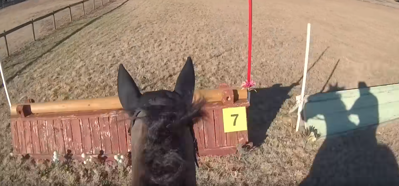 Monday Video: Boyd Goes Beginner Novice | Eventing Nation - Three-Day ...