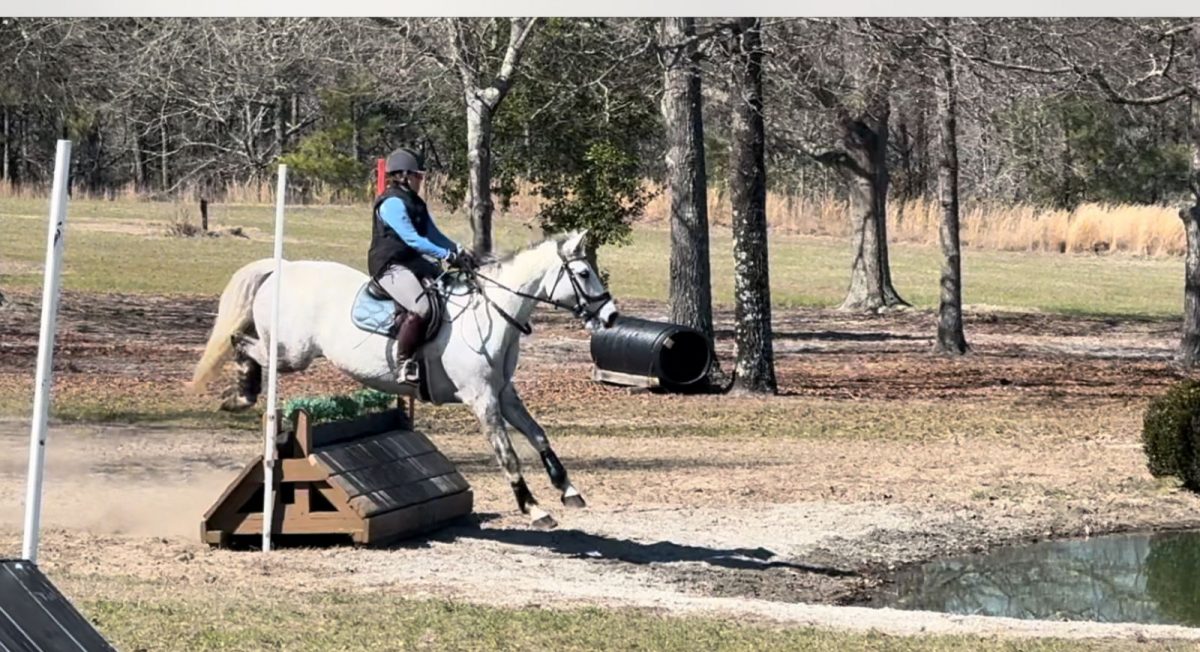 A Week in the Life: Jennifer Clapp’s C Square Scholarship Adventure in ...