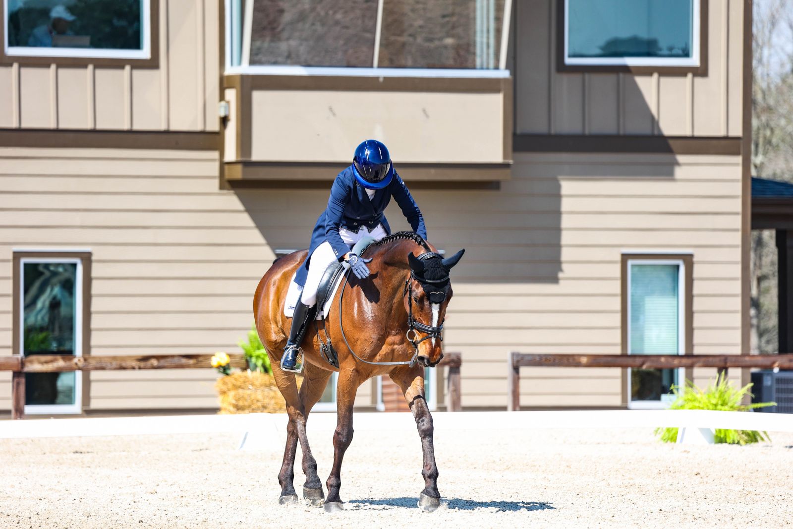 Classic Eventing Nation | Eventing Nation - Three-Day Eventing News ...