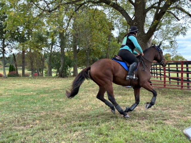 Cross Country Equestrian Offers Horse and Rider New Opportunities ...