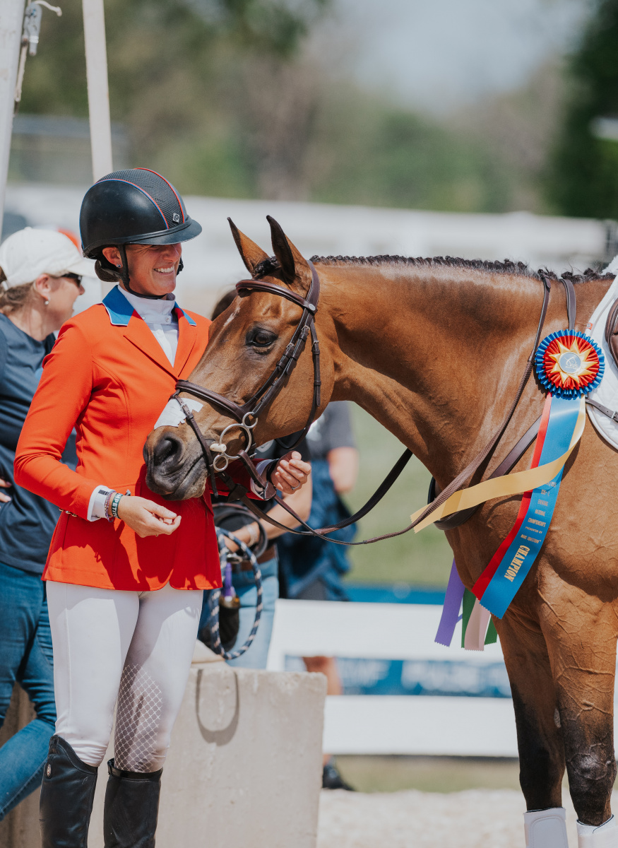 Behind the Breeding: Arabian Influence is Strong within Vermiculus ...