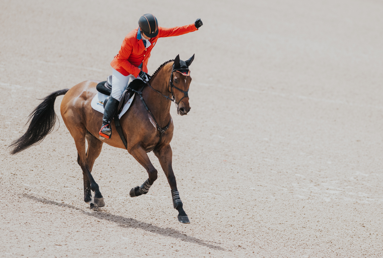 Jumping for the Kentucky Crown – Live Blog from the 5* Show Jumping at ...