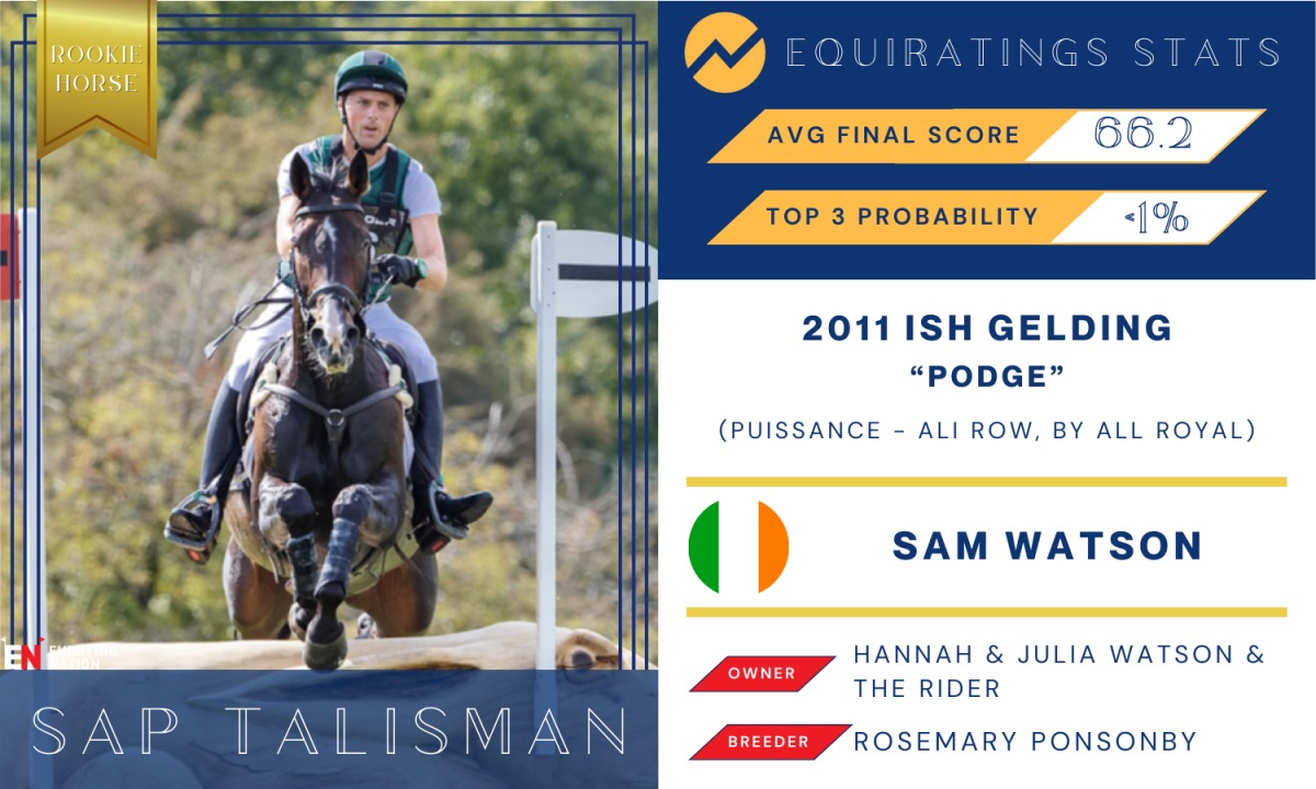 Form Guide: Meet the Horses and Riders in the 2024 MARS Badminton Field ...