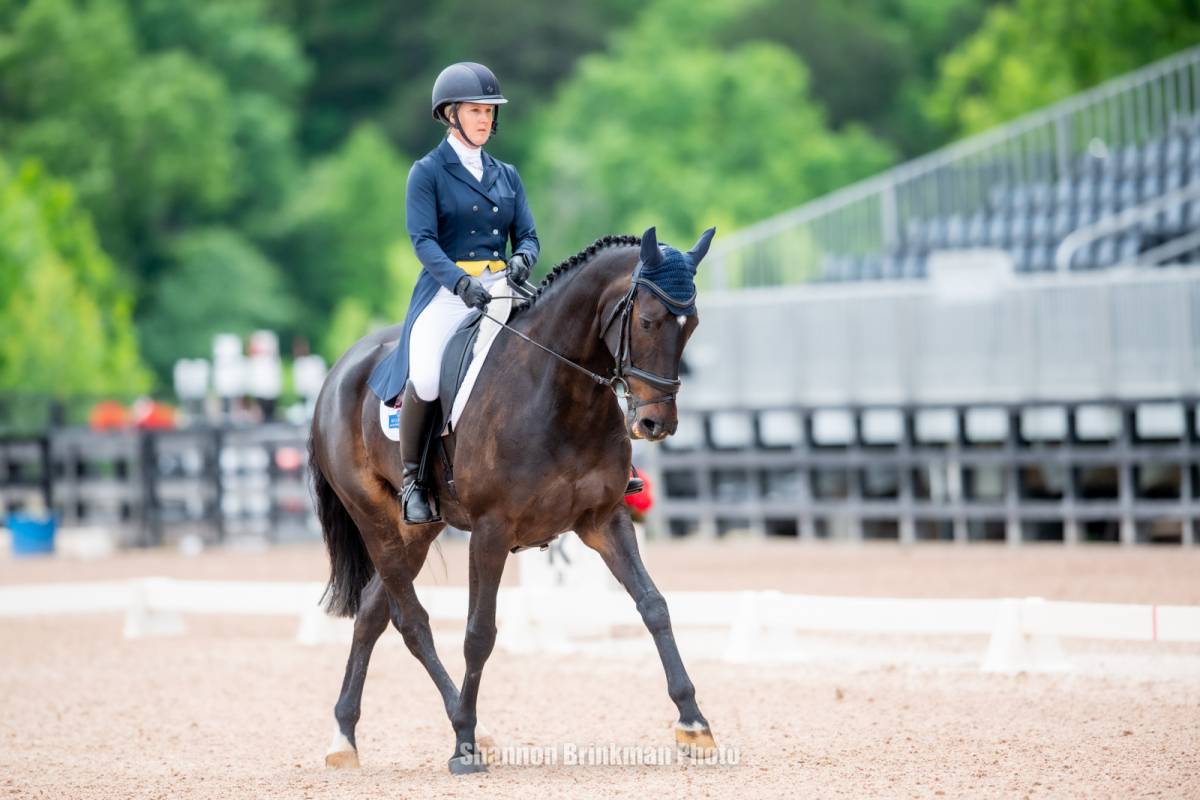 EN’s Guide to the Horses & Riders of the $100k Stirling Venture Capital ...