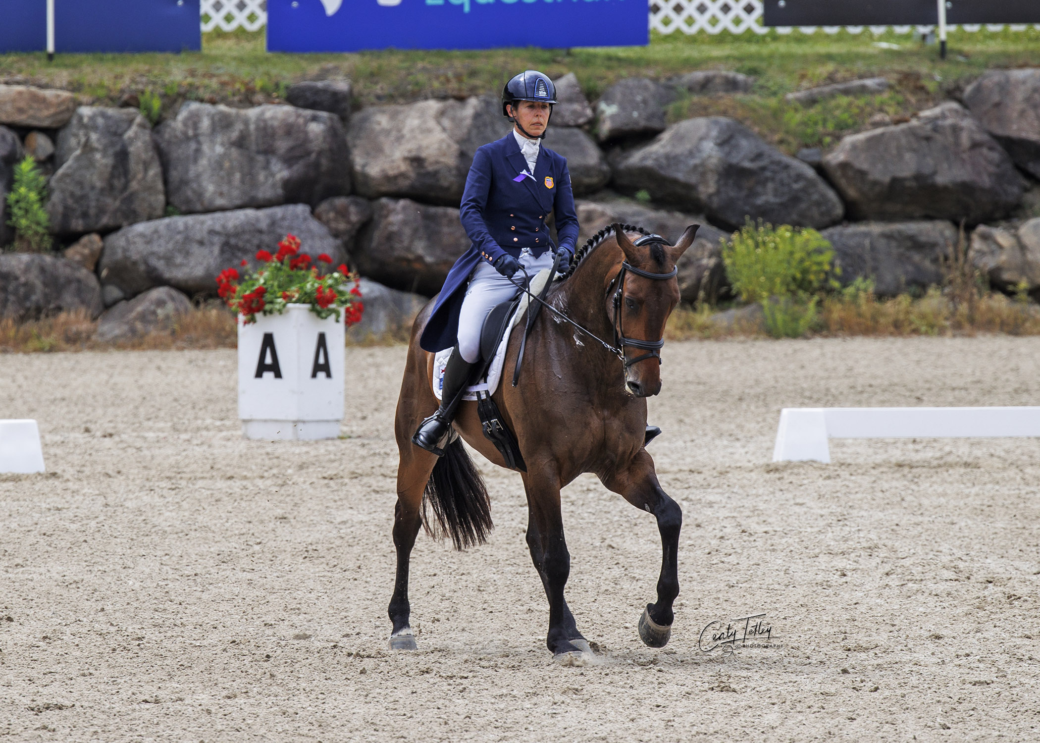 Shannon Lilley Takes Day One Lead in MARS Bromont CCI4*-L | Eventing ...