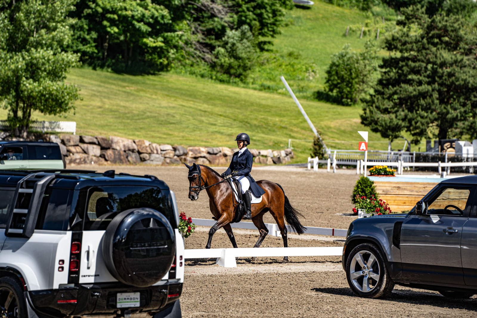 Bellissimo is the Belle of the Ball in MARS Equestrian Bromont CCI4*L ...