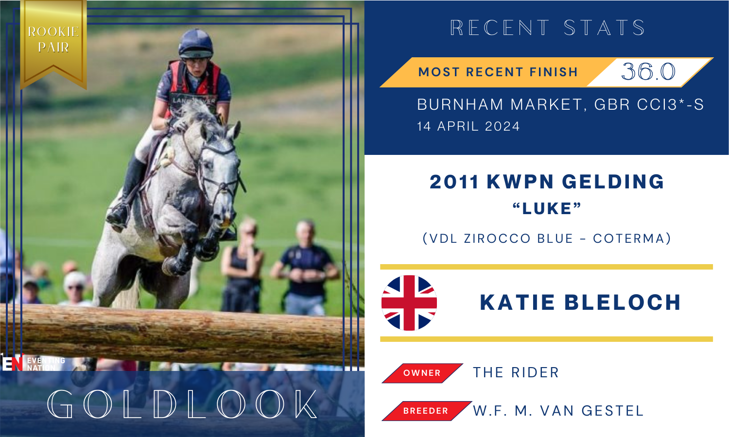 To Germany We Go: Your Form Guide to the 2024 Longines Luhmühlen CCI5 ...