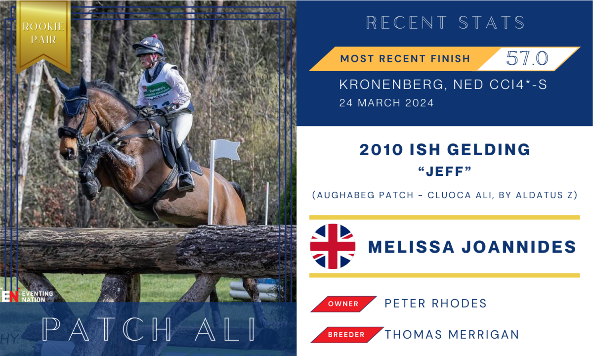 To Germany We Go: Your Form Guide to the 2024 Longines Luhmühlen CCI5 ...