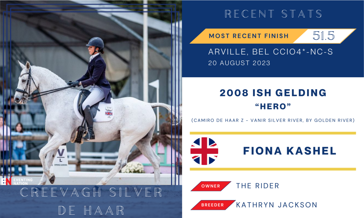 To Germany We Go: Your Form Guide to the 2024 Longines Luhmühlen CCI5* | Eventing Nation - Three ...