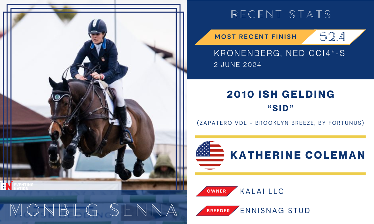 To Germany We Go: Your Form Guide to the 2024 Longines Luhmühlen CCI5 ...