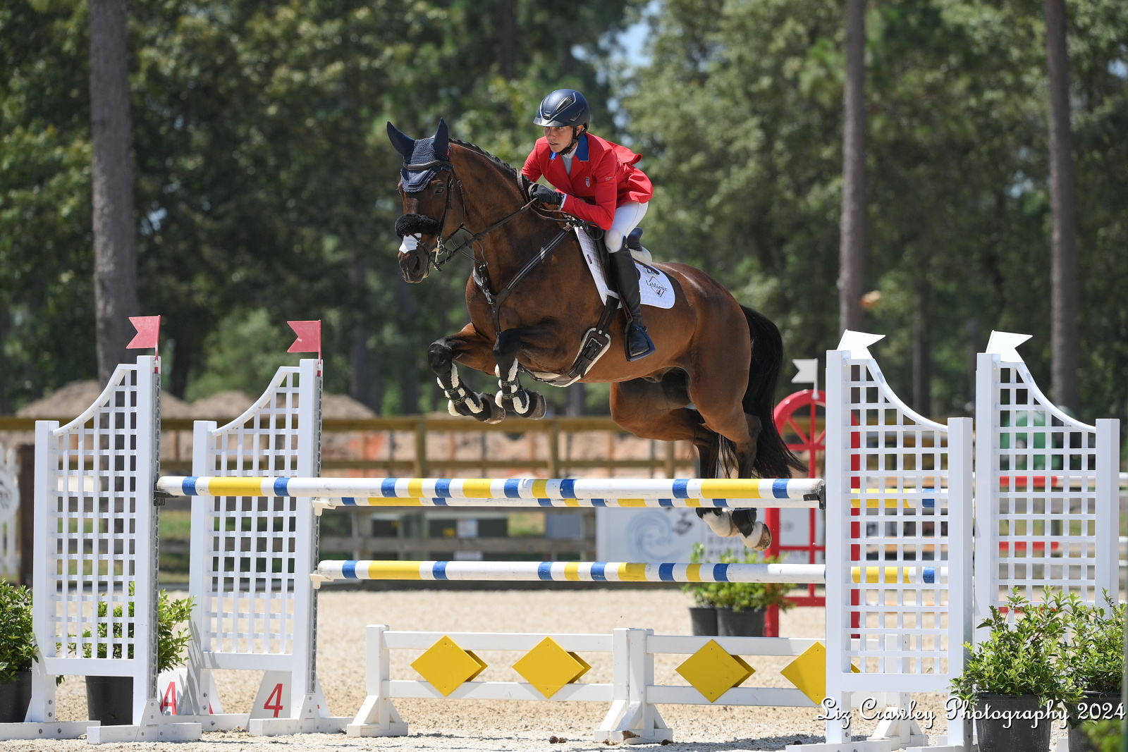 Update on Liz Halliday at American Eventing Championships | Eventing ...