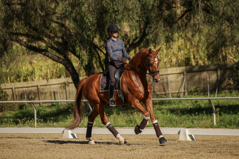 Amelia Newcomb: Spreading Dressage for All Across the Globe | Eventing ...