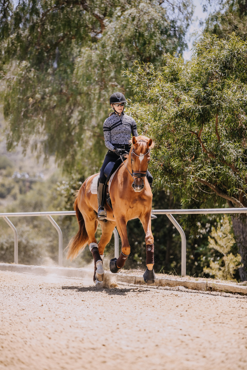 Amelia Newcomb: Spreading Dressage for All Across the Globe | Eventing ...