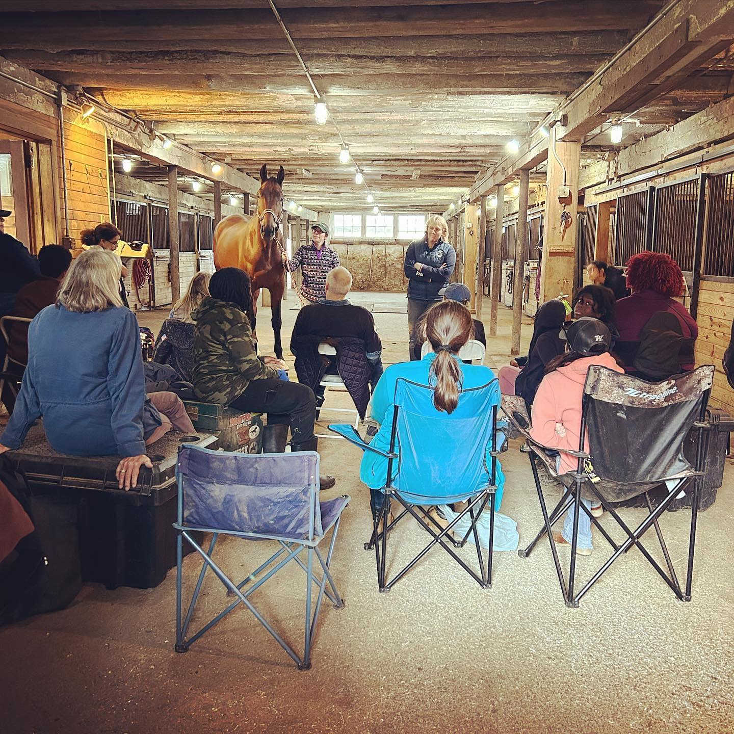 World Class Grooming to Offer Virtual Foundational Horse Care Course ...