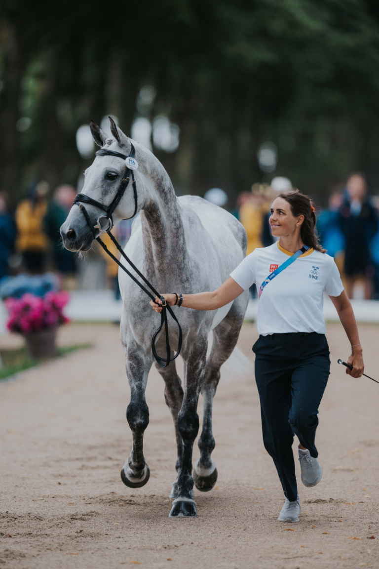 Maman Mia! Here We Go Again! Your Follow-Along Companion Guide to the ...