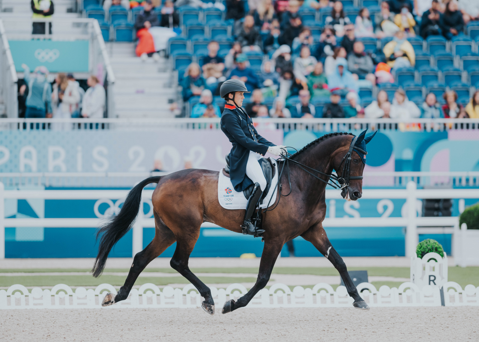 Classic Eventing Nation | Eventing Nation - Three-Day Eventing News ...