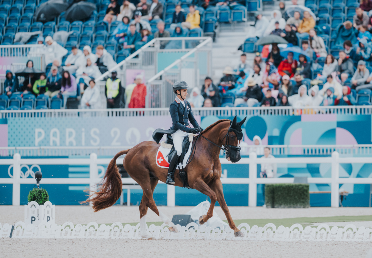 ‘An Absolute Masterpiece – Technically and Aesthetically’: Riders React ...