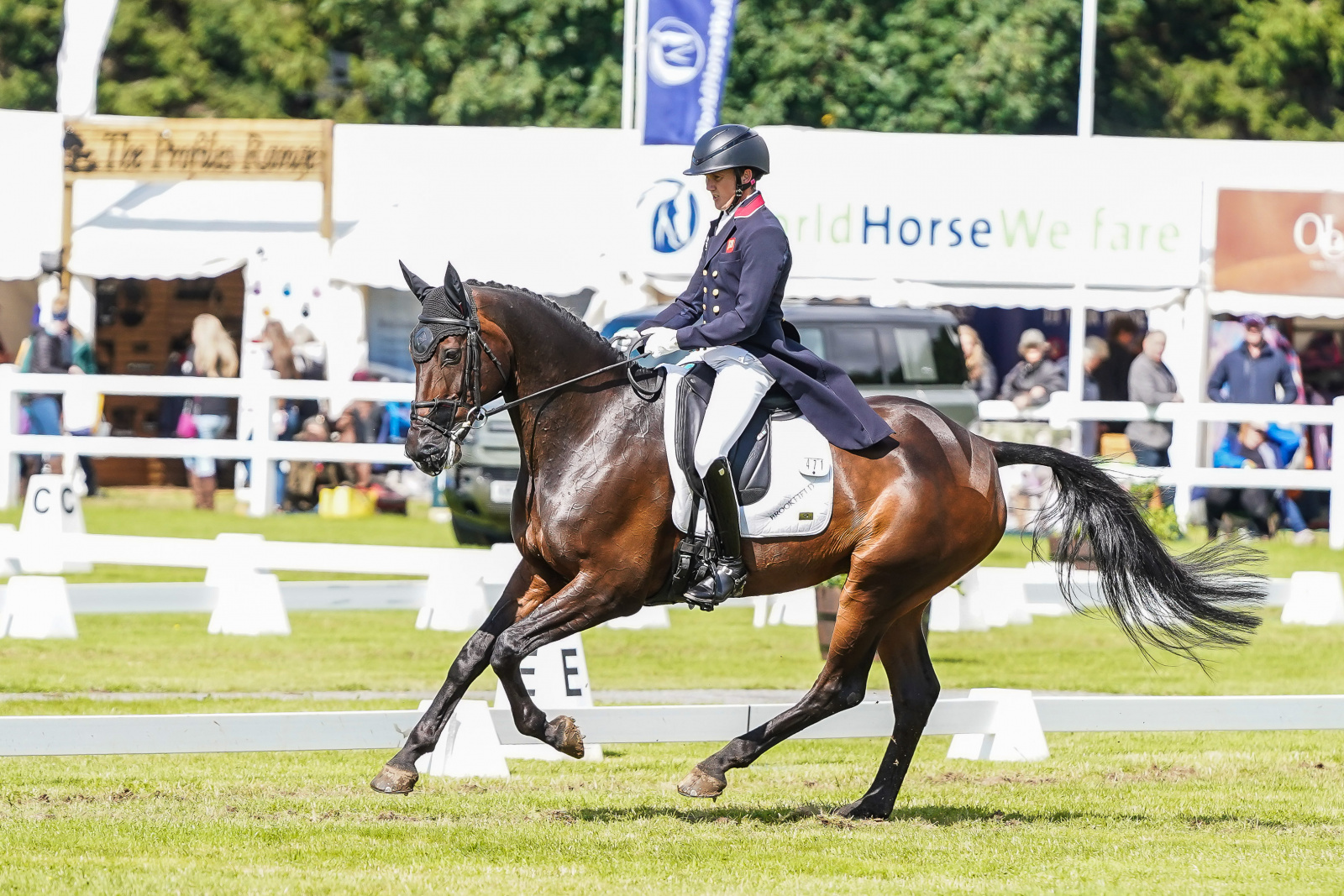 Classic Eventing Nation | Eventing Nation - Three-Day Eventing News ...