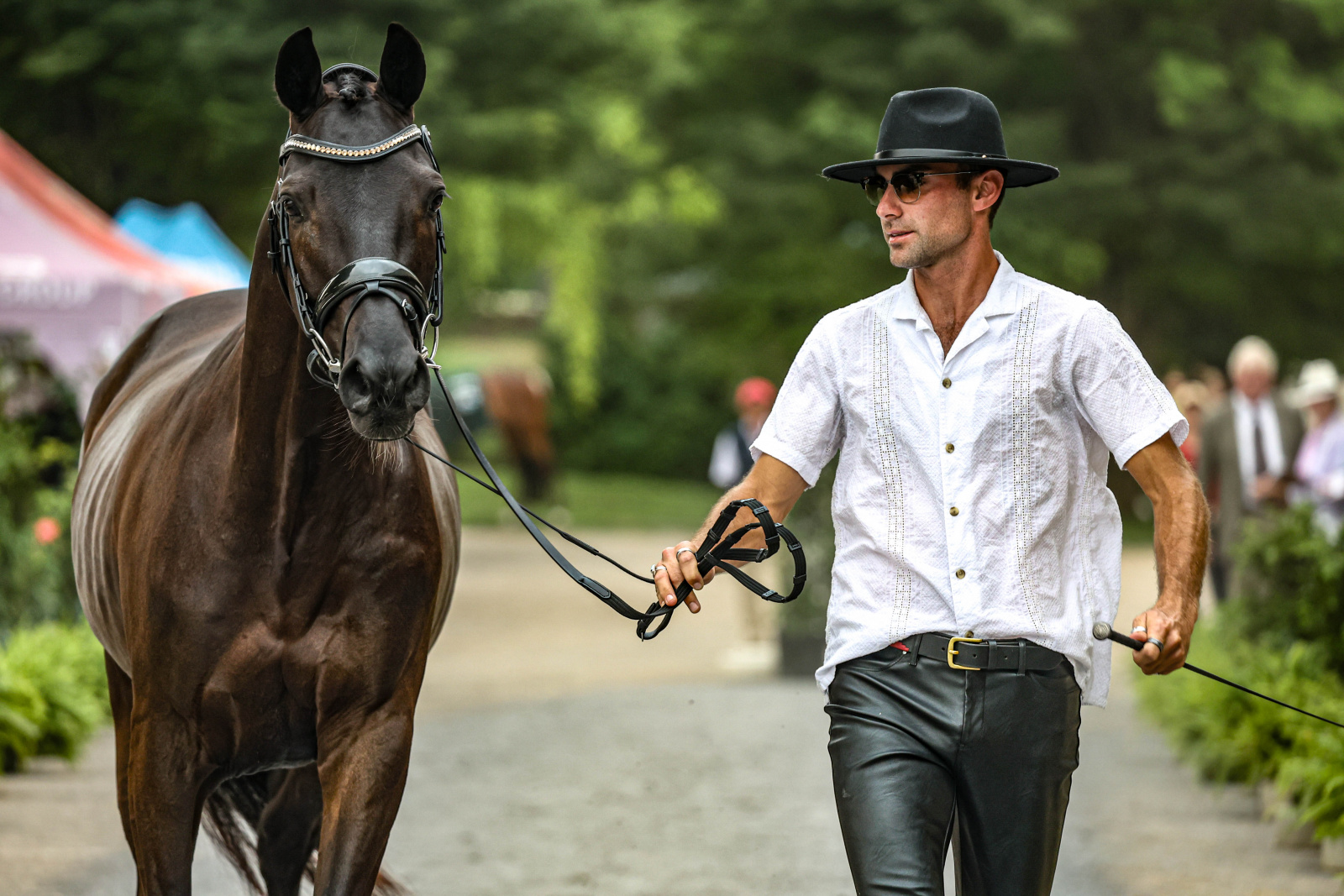 EN’s Got Talent: Chris Talley & Fast Forward | Eventing Nation - Three ...