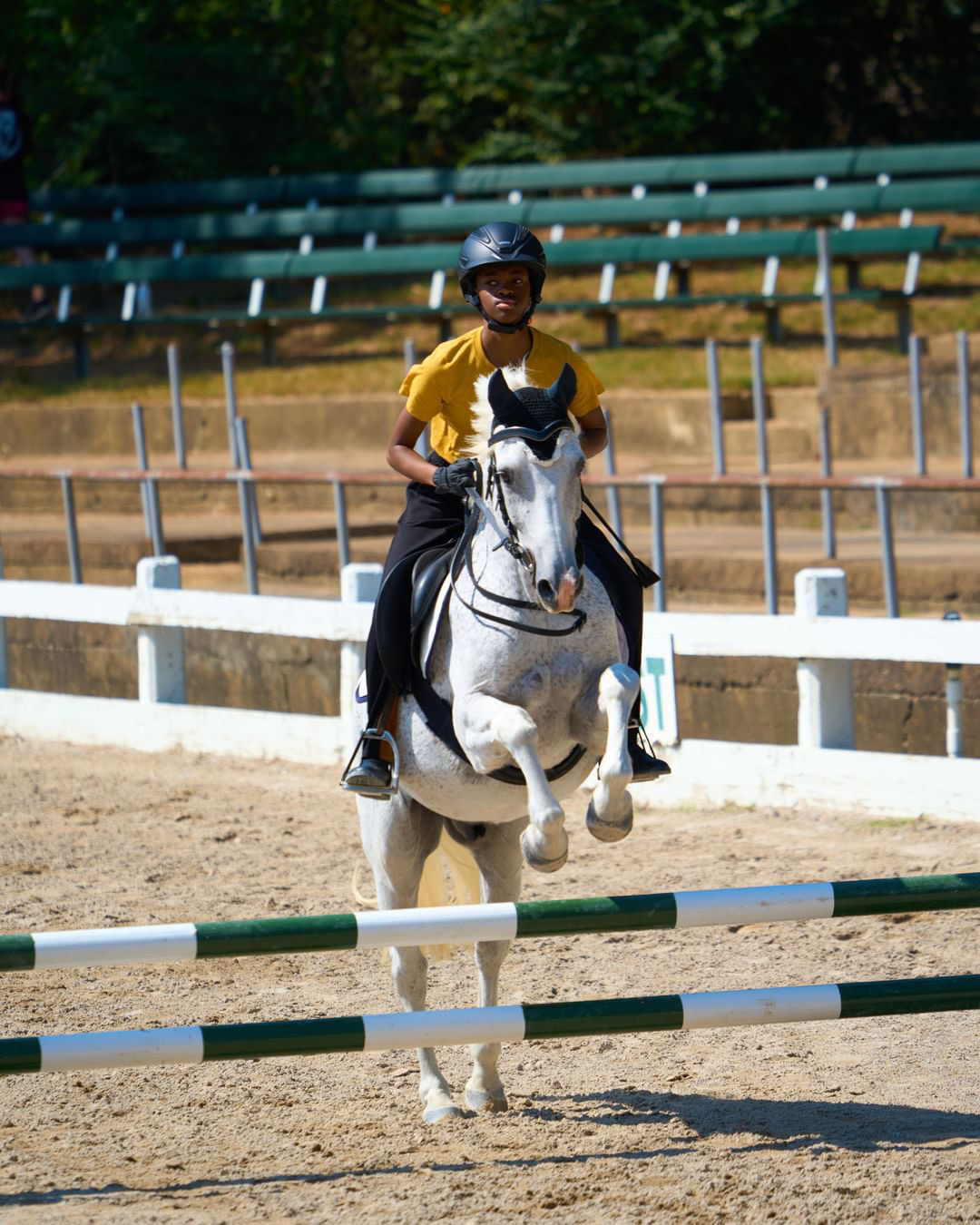 Classic Eventing Nation | Eventing Nation - Three-Day Eventing News ...